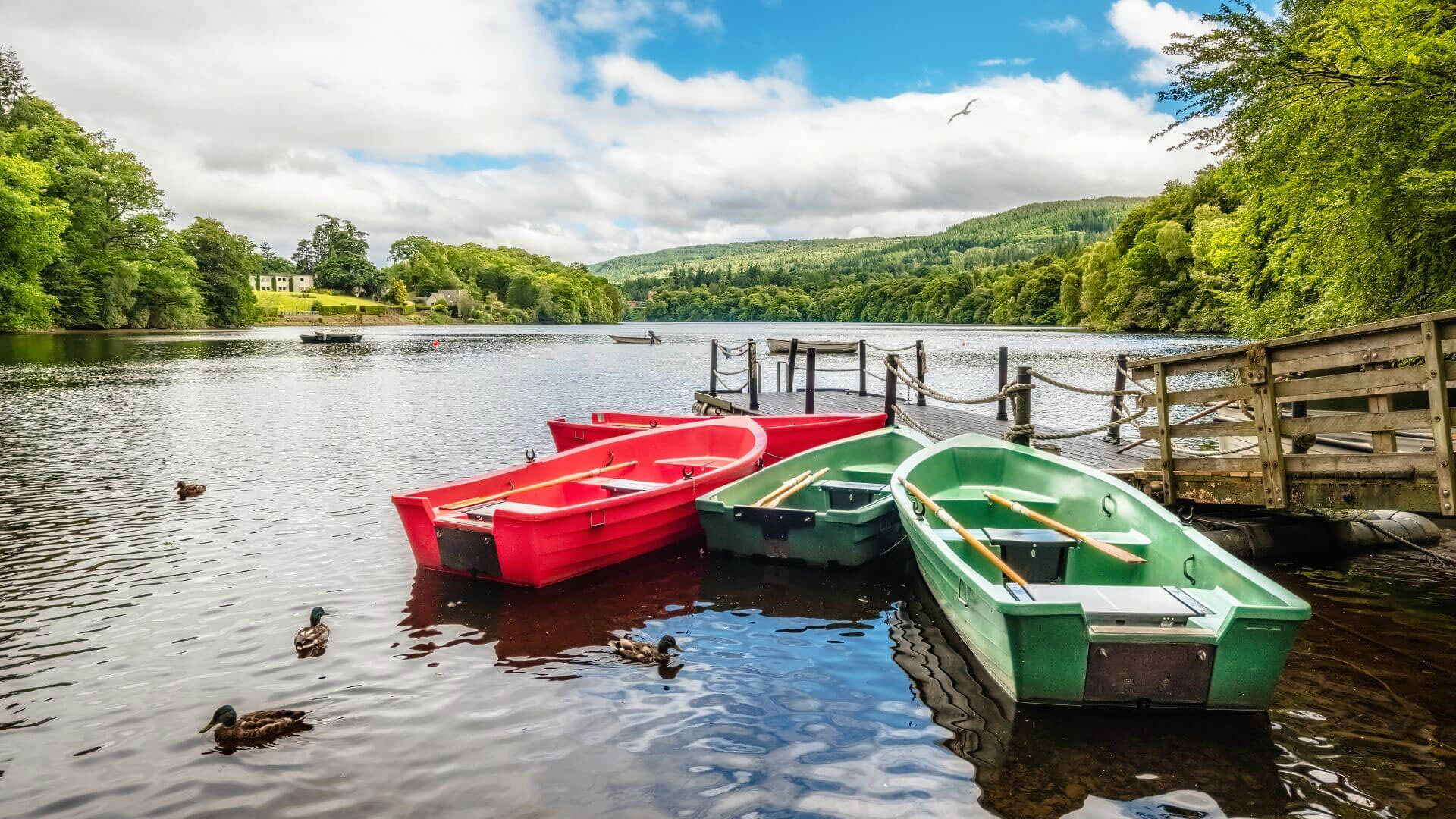 Faskally Wood | Woods in Ptilochry | Atholl Palace