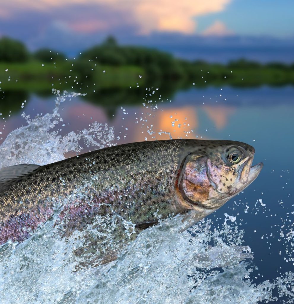 Fishing in Pitlochry | Local Attractions | Atholl Palace