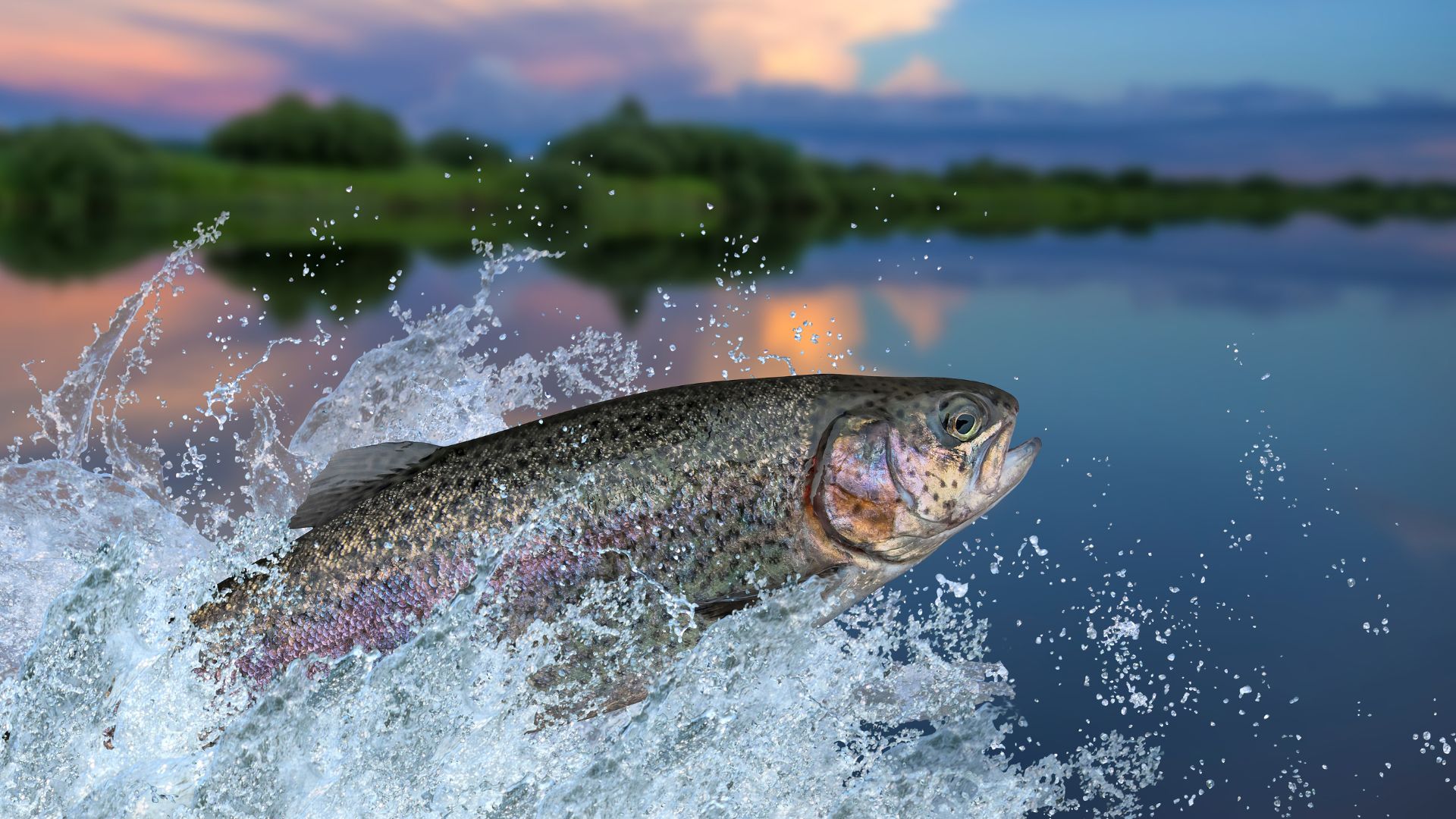 Fishing in Pitlochry | Local Attractions | Atholl Palace