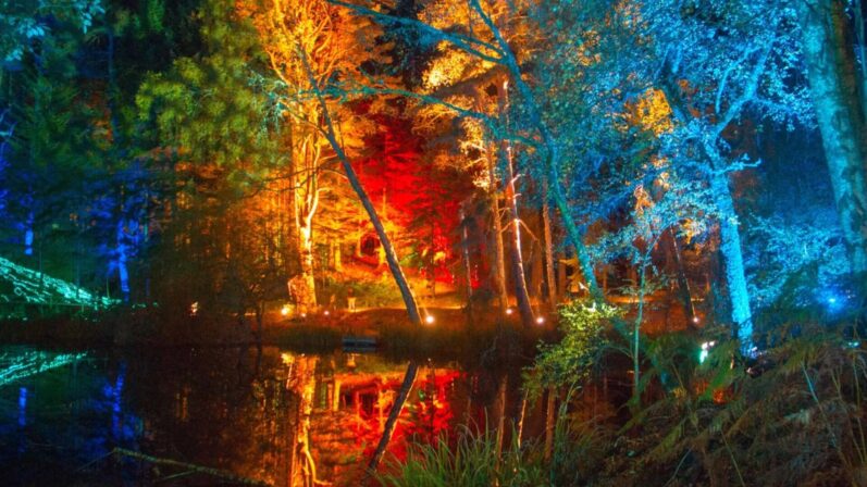 Enchanted Forest | Faskally Woods | Atholl Palace Hotel