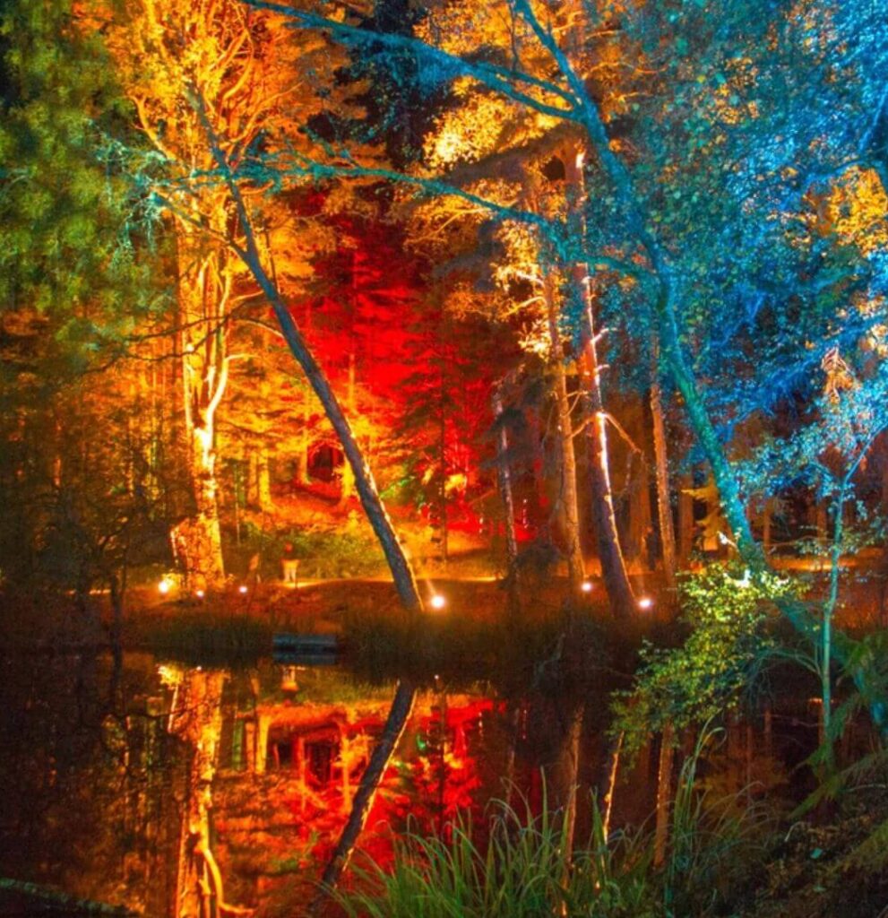 Enchanted Forest | Faskally Woods | Atholl Palace Hotel
